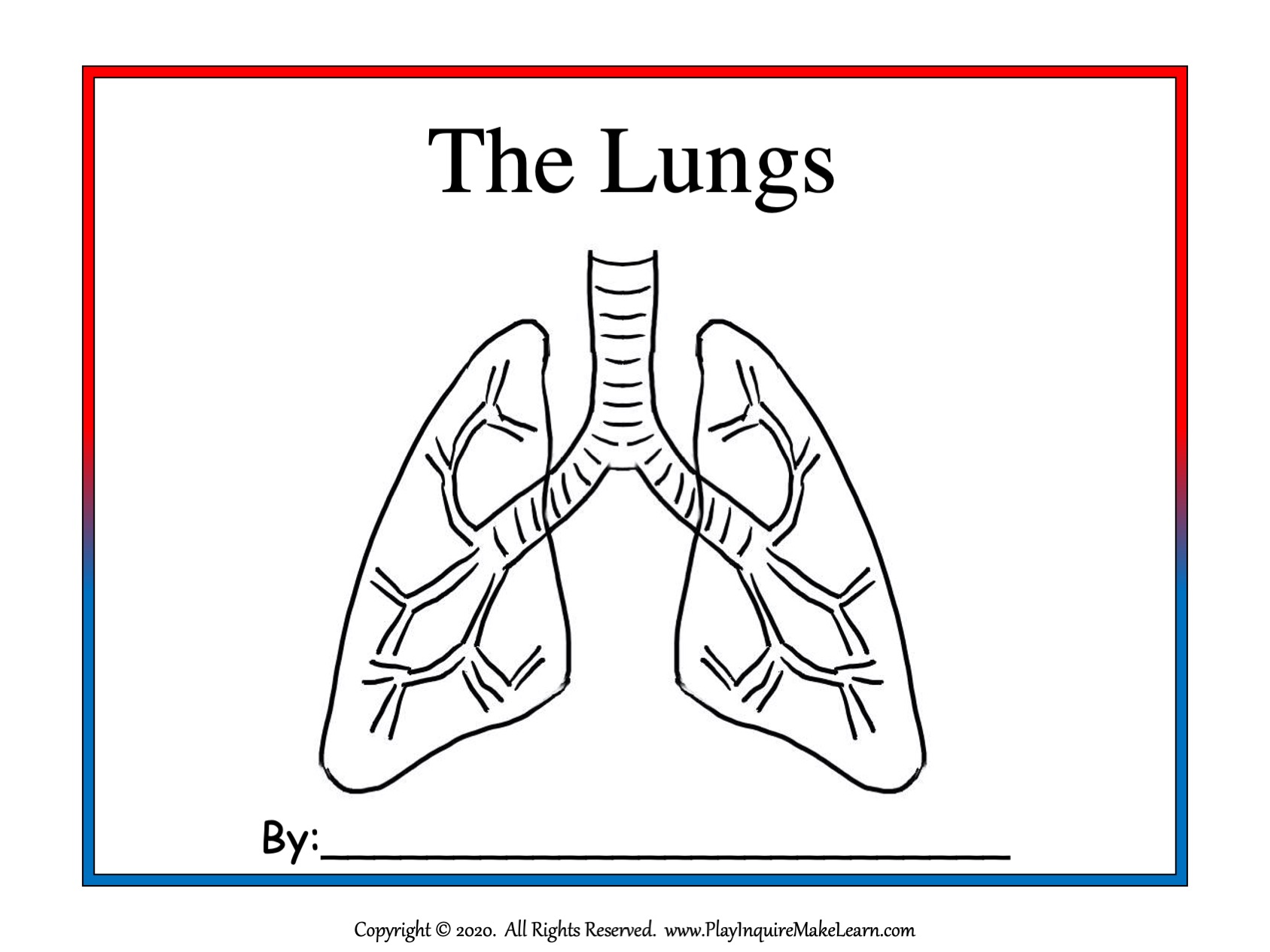 The Lungs Mini Unit Study - Play. Inquire. Make. Learn.