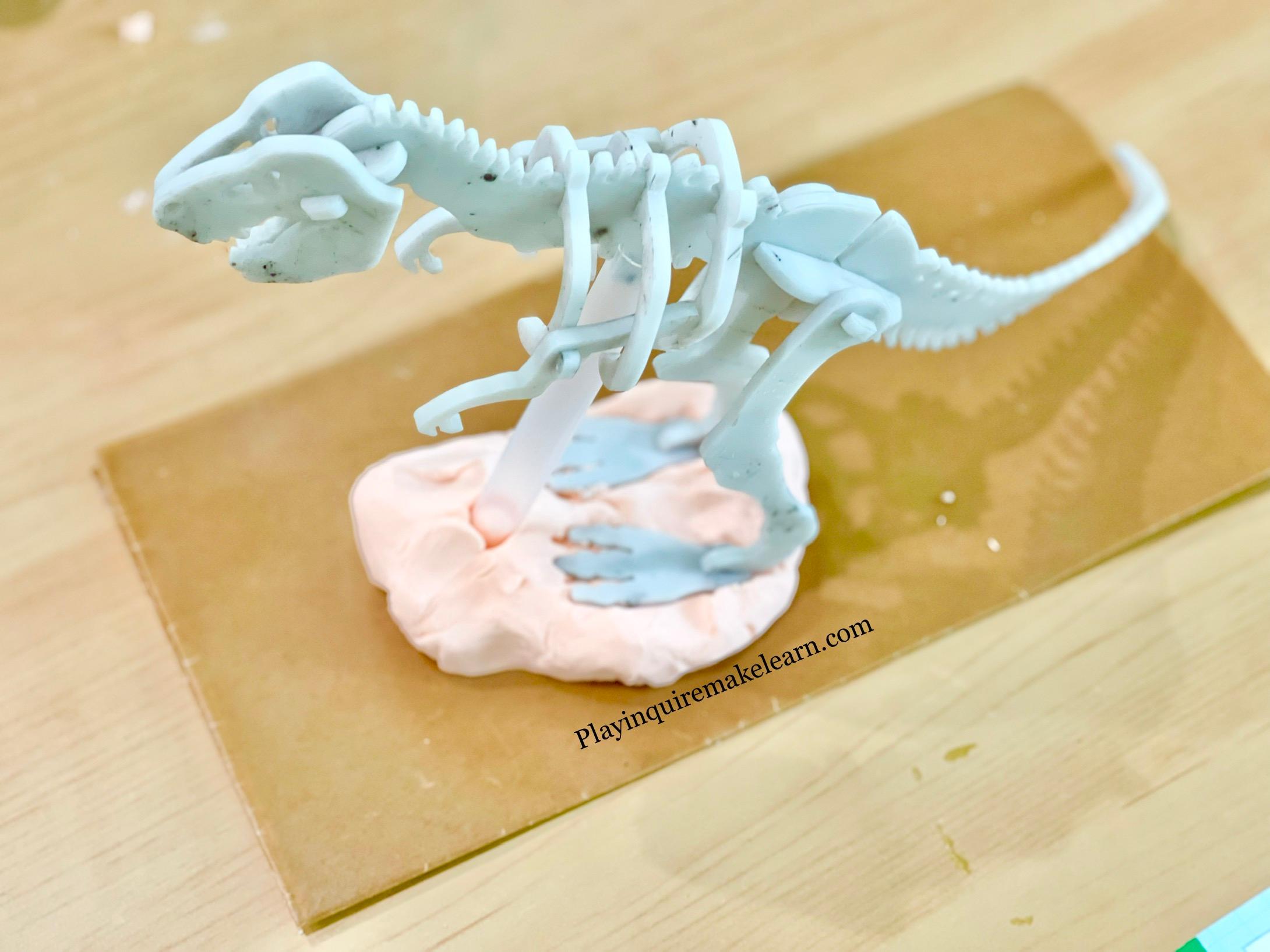 Amazing Dinosaur Excavation Paleontology Starter Kit Kiwi Crate - Play ...
